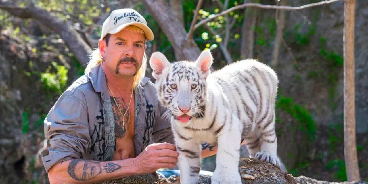 Tiger king seizoen 2: wat staat ons te wachten? | MAN MAN