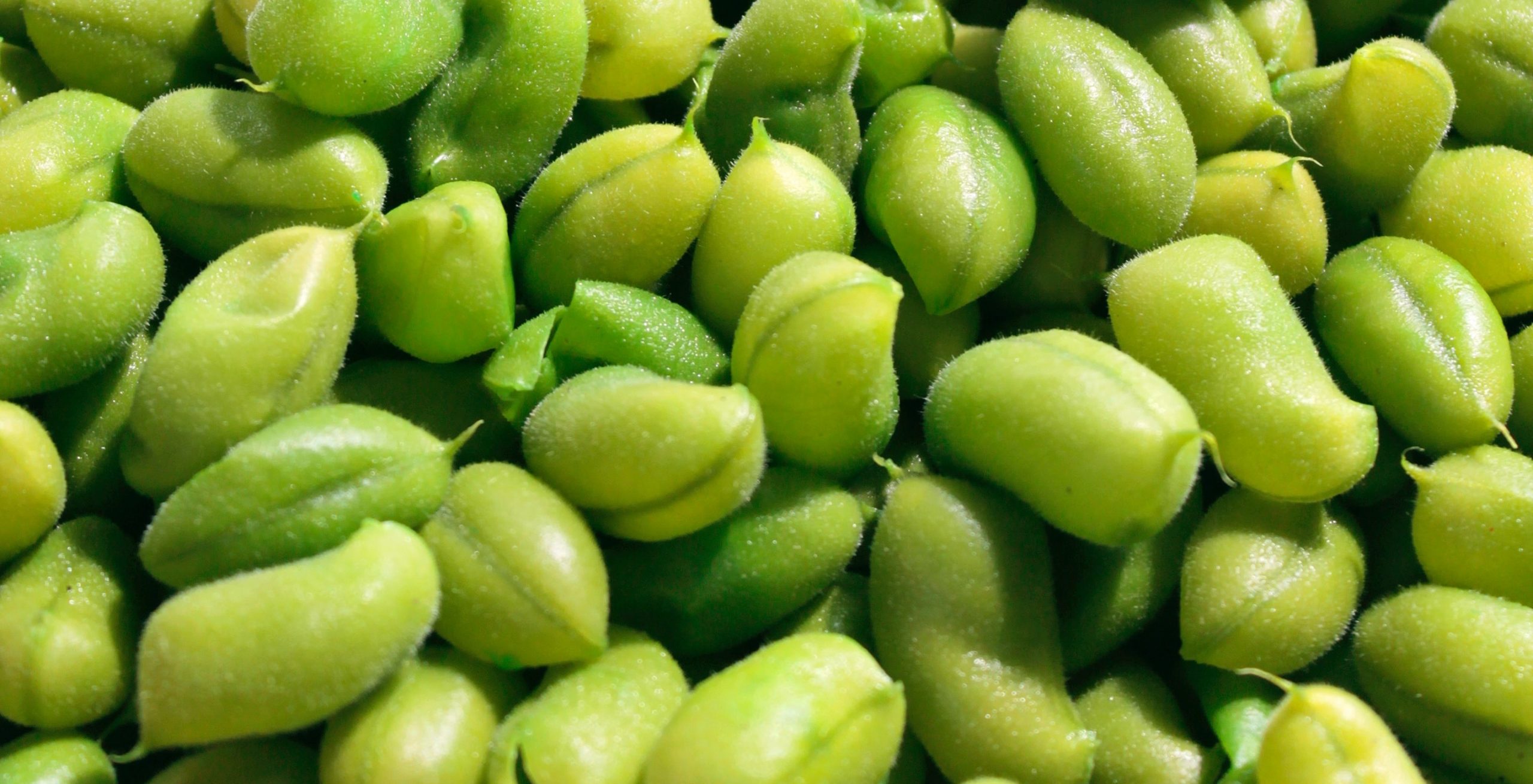 20 vegetarische voedingsmiddelen met veel eiwitten | MAN MAN