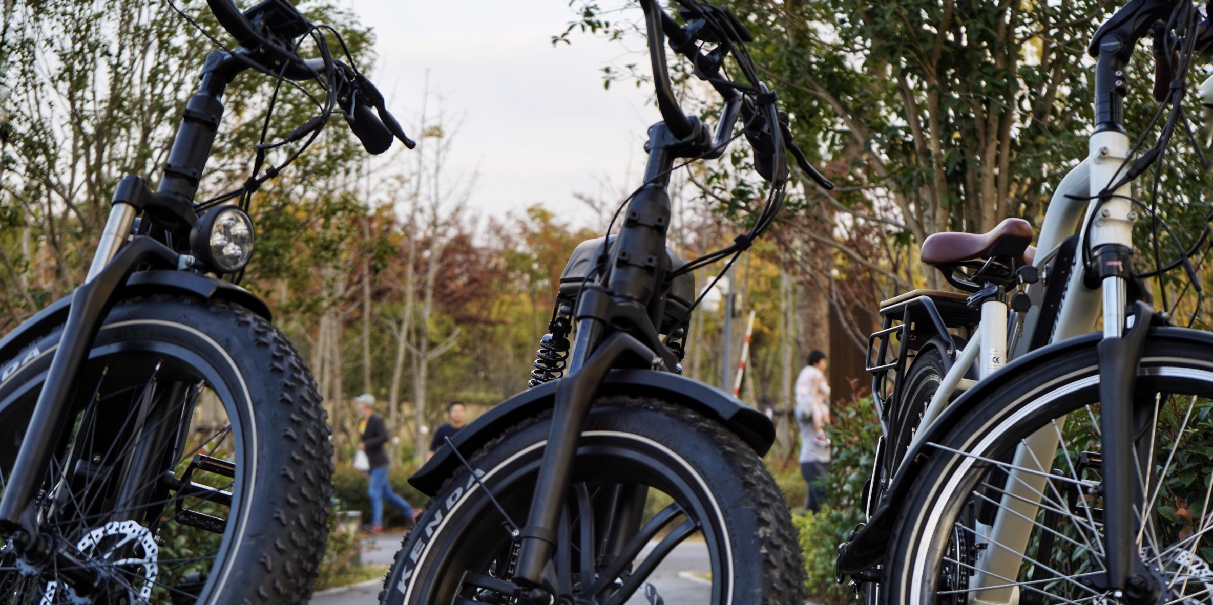 Onze nationale trots: 10 Nederlandse e-bike merken