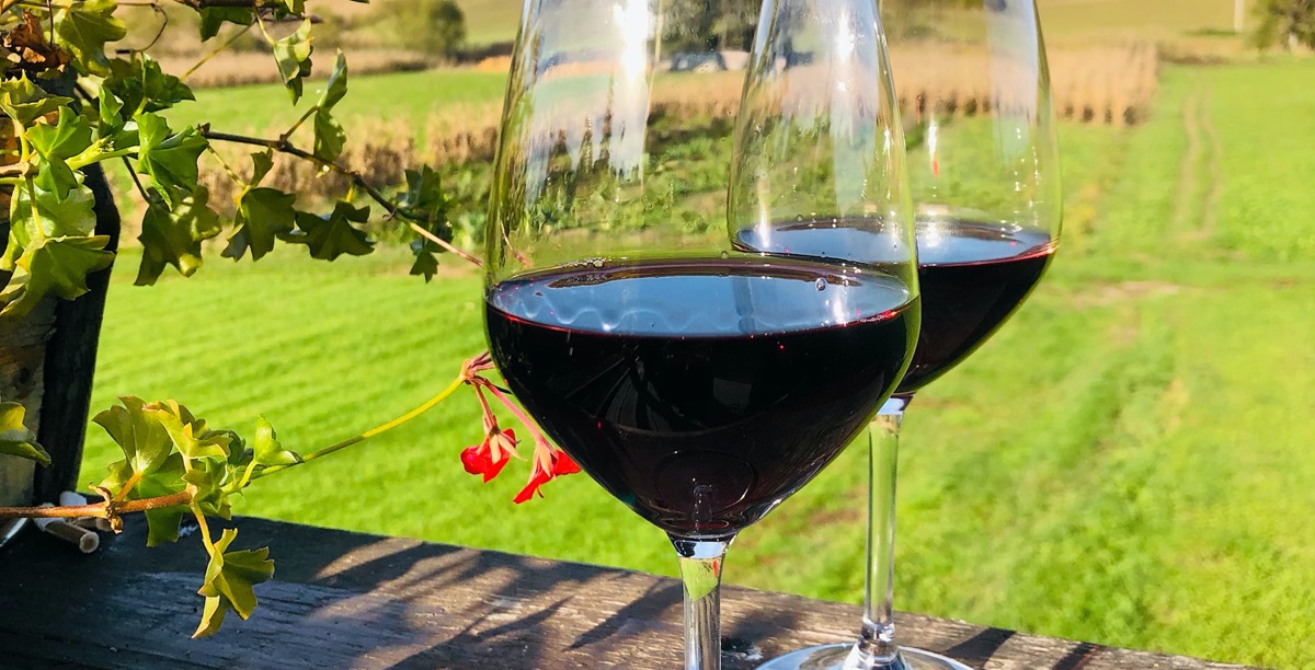 De top 10 beste rode wijnen van de Lidl